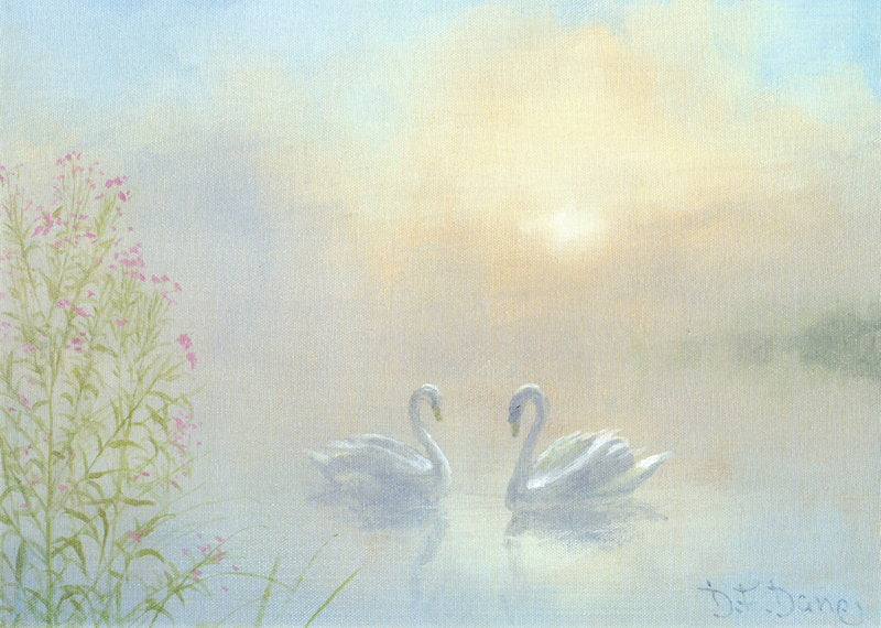Swans in the Mist – David Dane Art